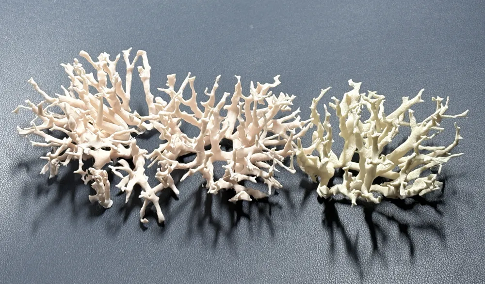 Organic Coral Vessel model - Free 3D Print Model - MakerWorld