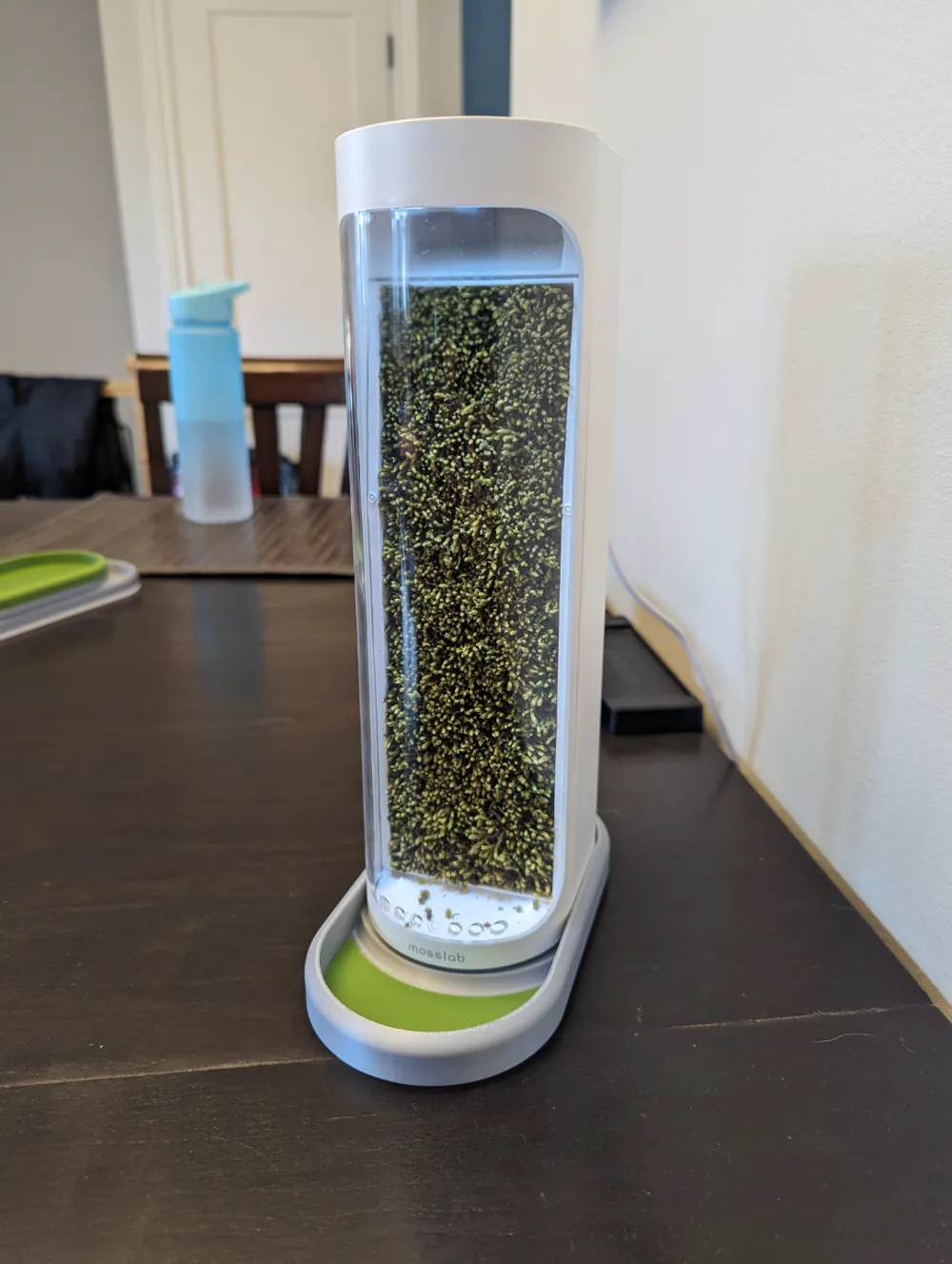 Moss air stand by jmaxime89 - MakerWorld