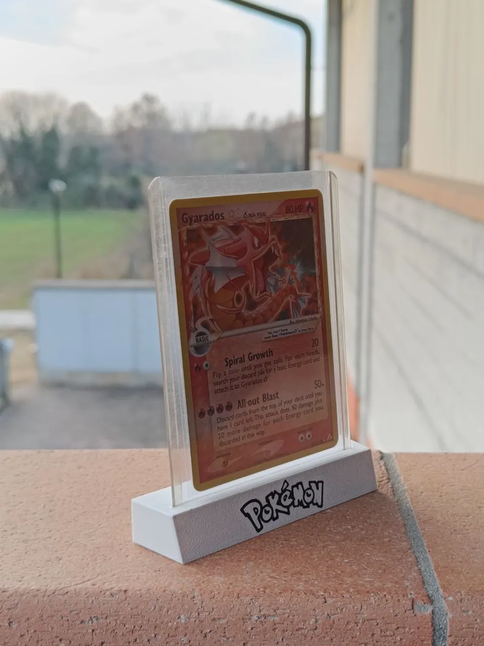 Pokemon Card Holder - Keep your Pokemon cards safe and organized in ...