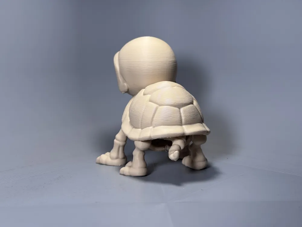 CHIBI TURTLE SKELE! by CorwineCustoms.3D LLC MakerWorld: Download Free ...