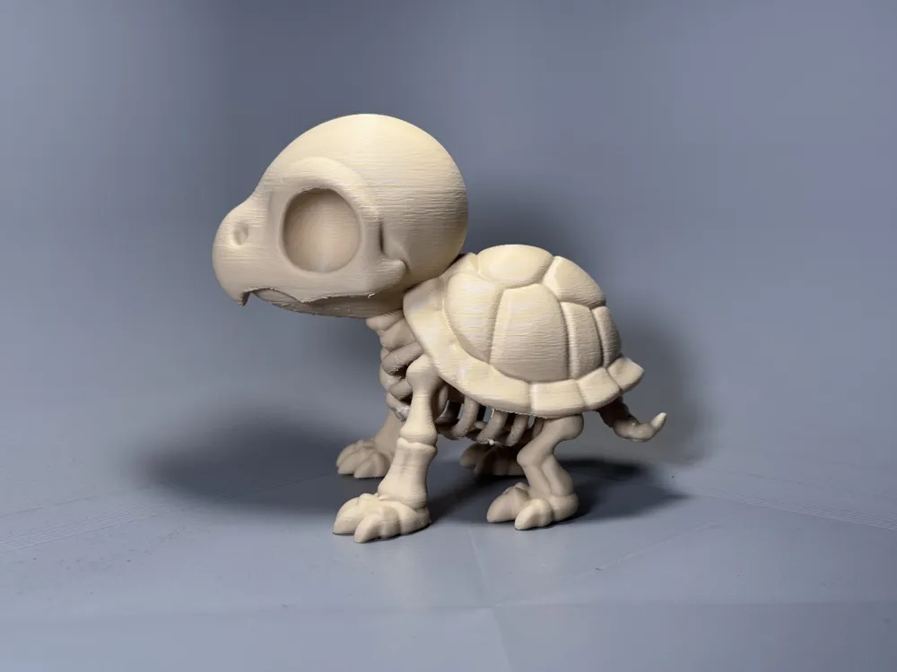 CHIBI TURTLE SKELE! by CorwineCustoms.3D LLC MakerWorld: Download Free ...