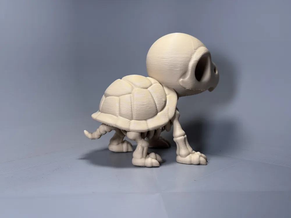 CHIBI TURTLE SKELE! by CorwineCustoms.3D LLC MakerWorld: Download Free ...