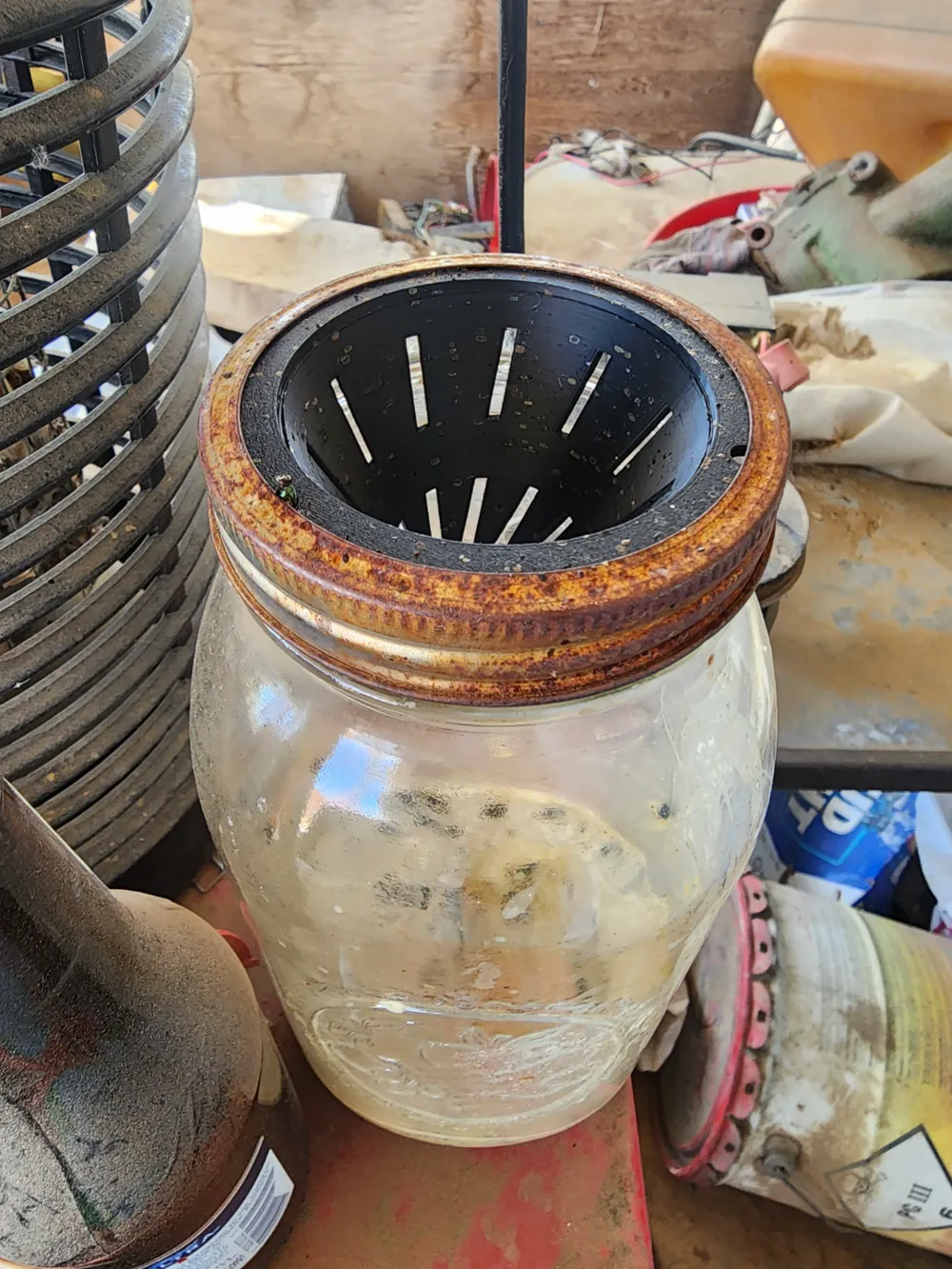 Mason jar Fly Trap by mom.condon - MakerWorld