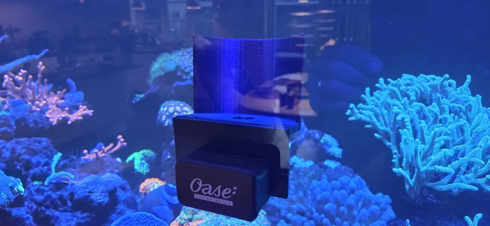Coral Frag Photo Stand for Reef Plugs - Free 3D Print Model - MakerWorld