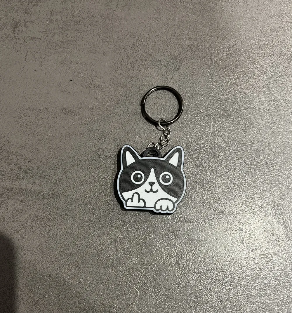 chaveiro de gato engraçado - Modelo gratuito para impressão 3D - MakerWorld