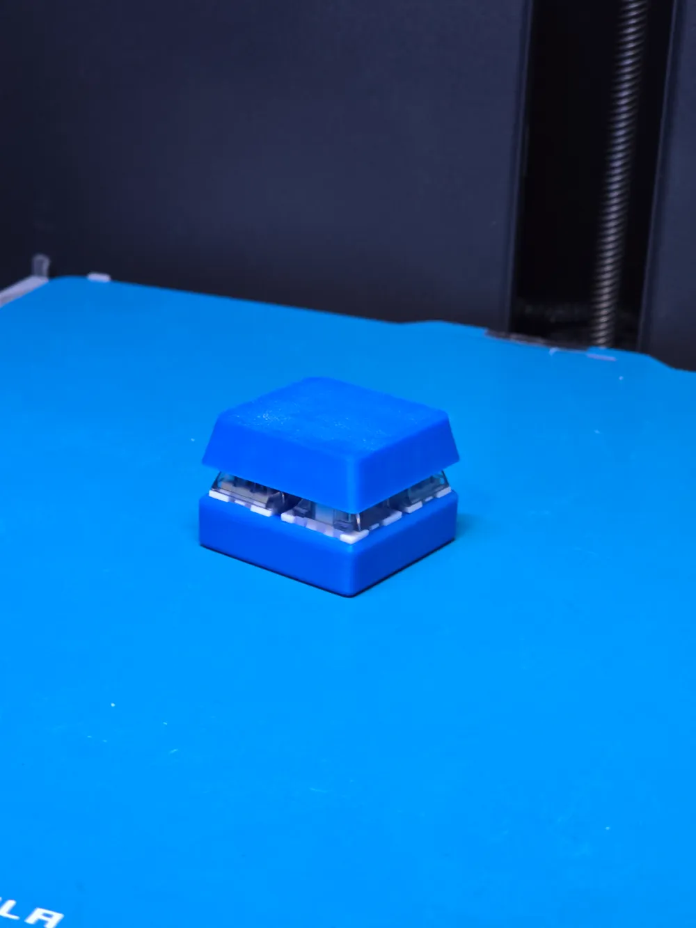 EXTRA Large Clicker Fidget Toy by CV3DP - MakerWorld