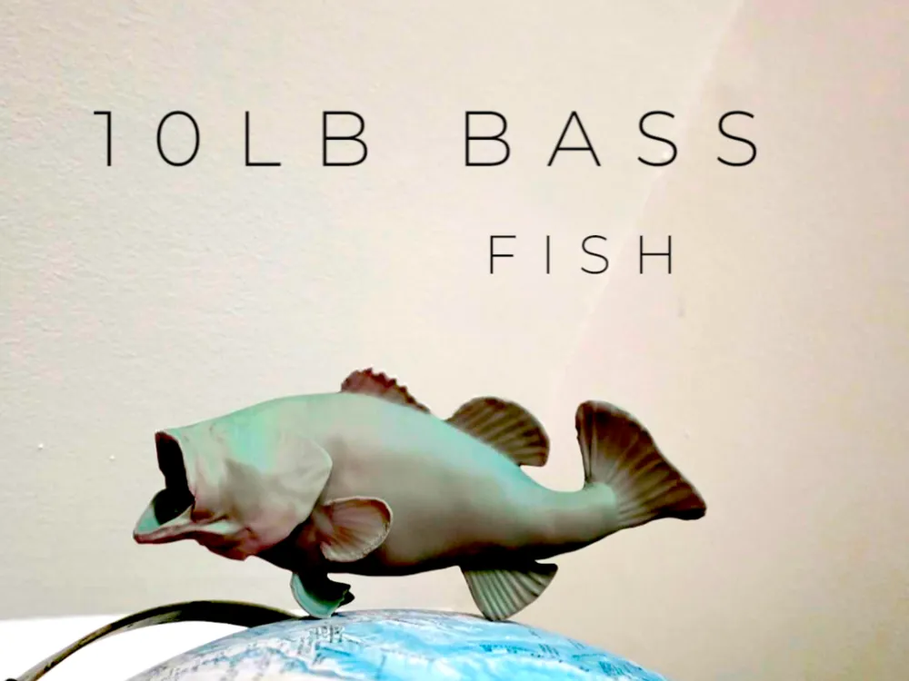 10LB Bass by DTM247 MakerWorld: Download Free 3D Models