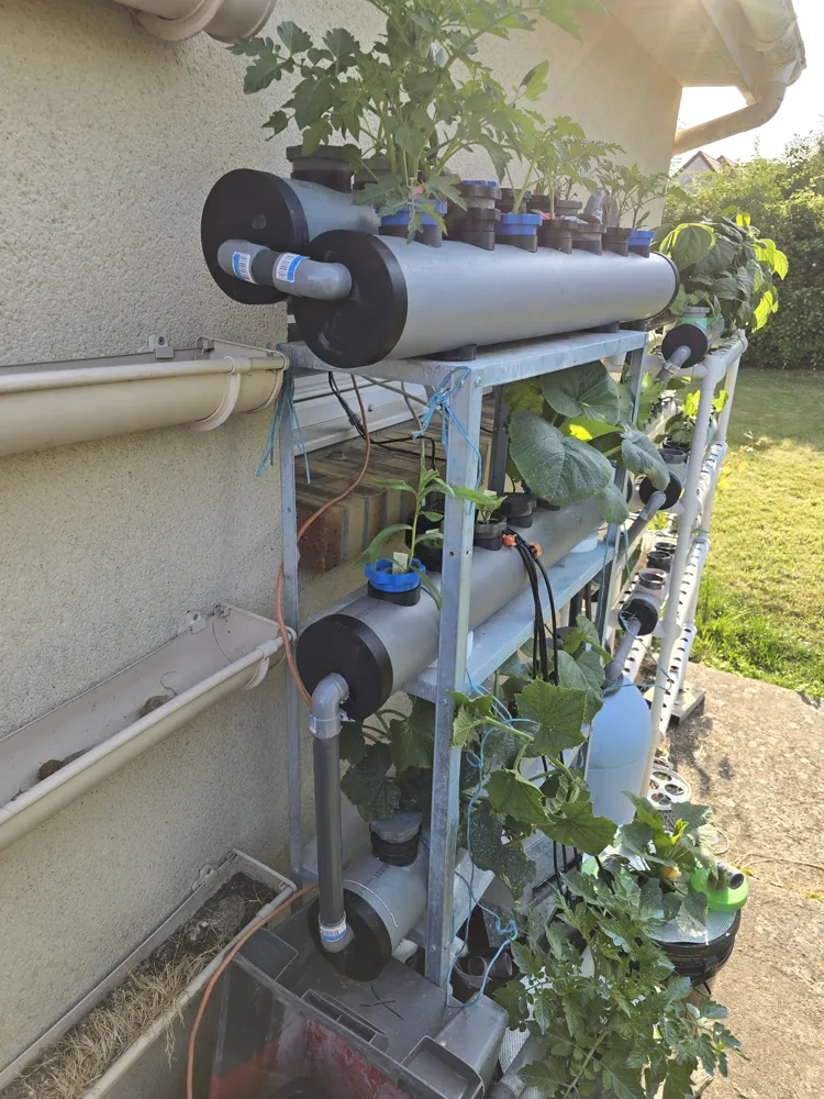 125mm PVC pipe horizontal hydroponic system by lilieco MakerWorld ...