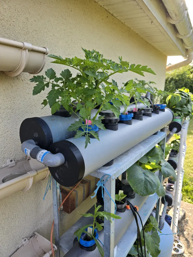 125mm PVC pipe horizontal hydroponic system by lilieco MakerWorld ...