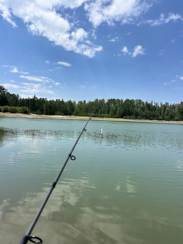 Minecraft Salmon Fishing Lure: Minecraft 024 by Spectraforge MakerWorld ...