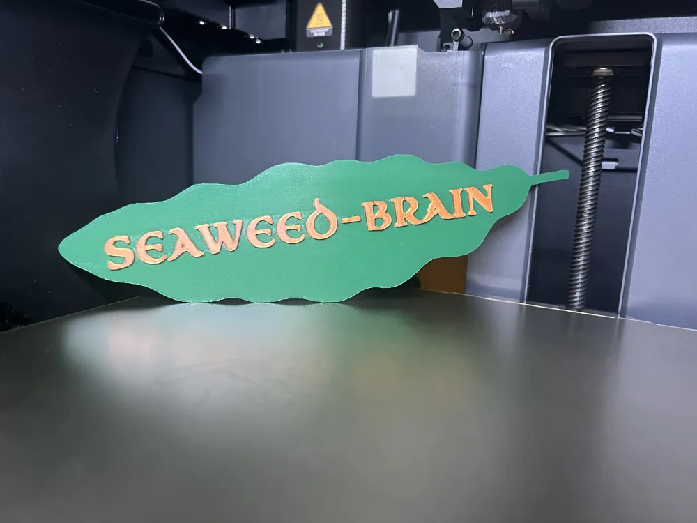 Seaweed-Brain Bookmark - Percy Jackson - Free 3D Print Model - MakerWorld