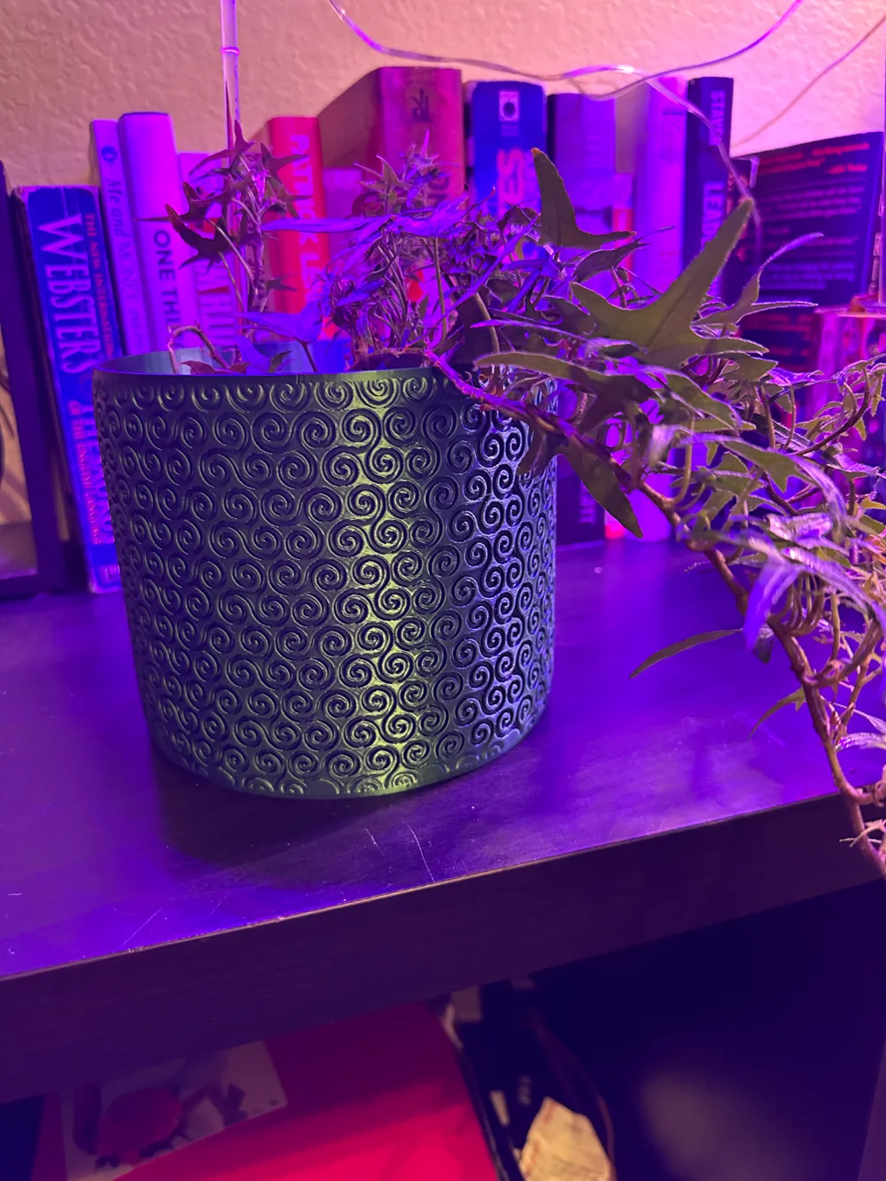 Planter V6 By Nubs 3d MakerWorld planter-v6-by-nubs-3d-makerworld