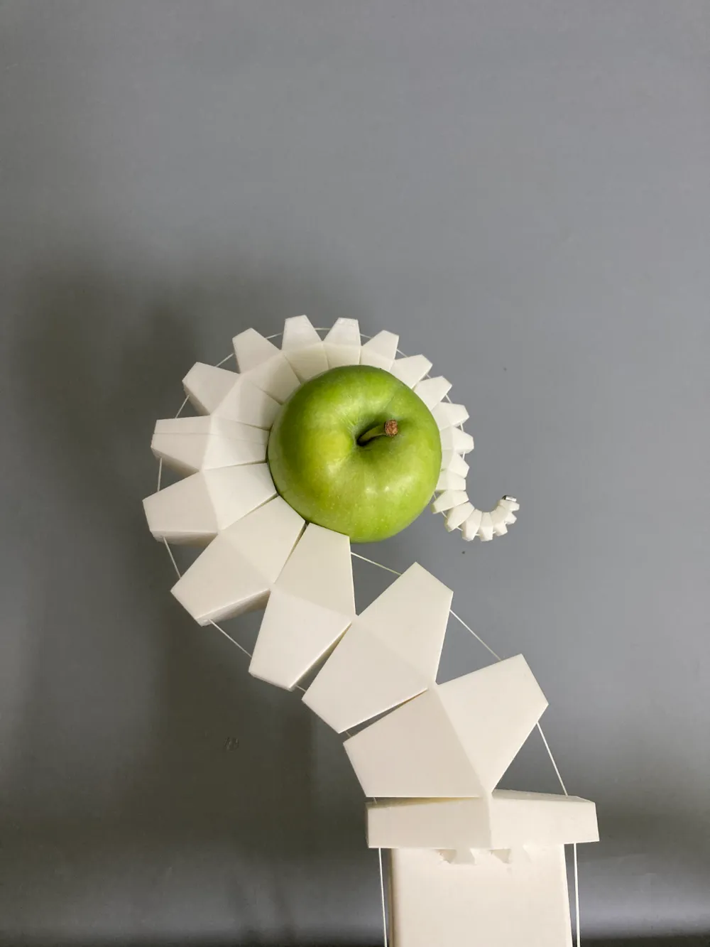 Logarithmic Spiral-shaped robots (2 Cable) by Zhanchi Wang MakerWorld ...