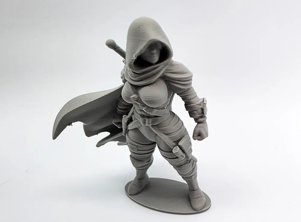Female Hooded Assassin Figurine by Triple G Workshop MakerWorld ...