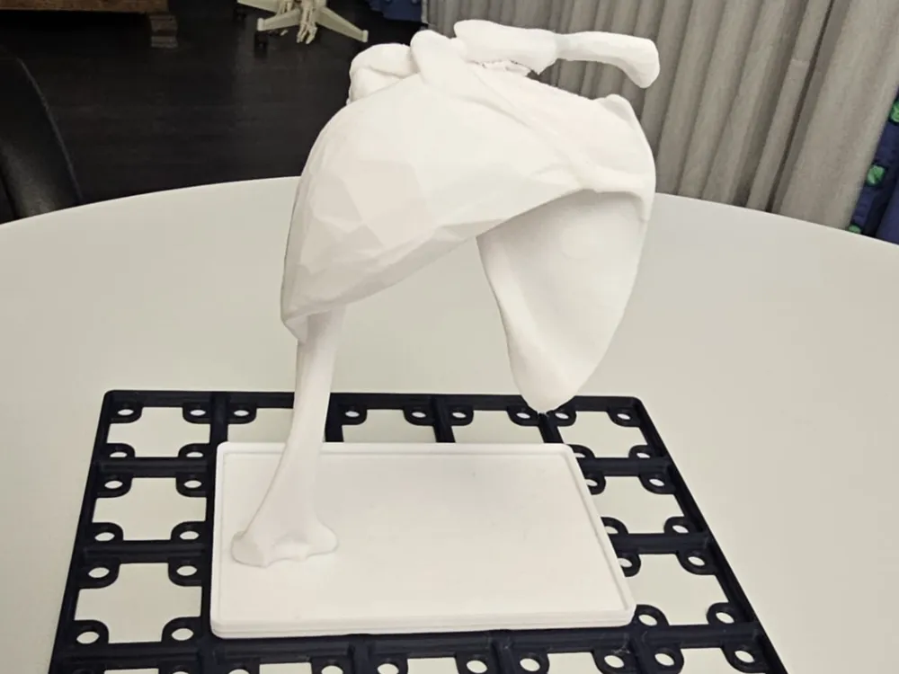 Gridfinity Anatomy: Shoulder Joint with Deltoideus - Free 3D Print ...