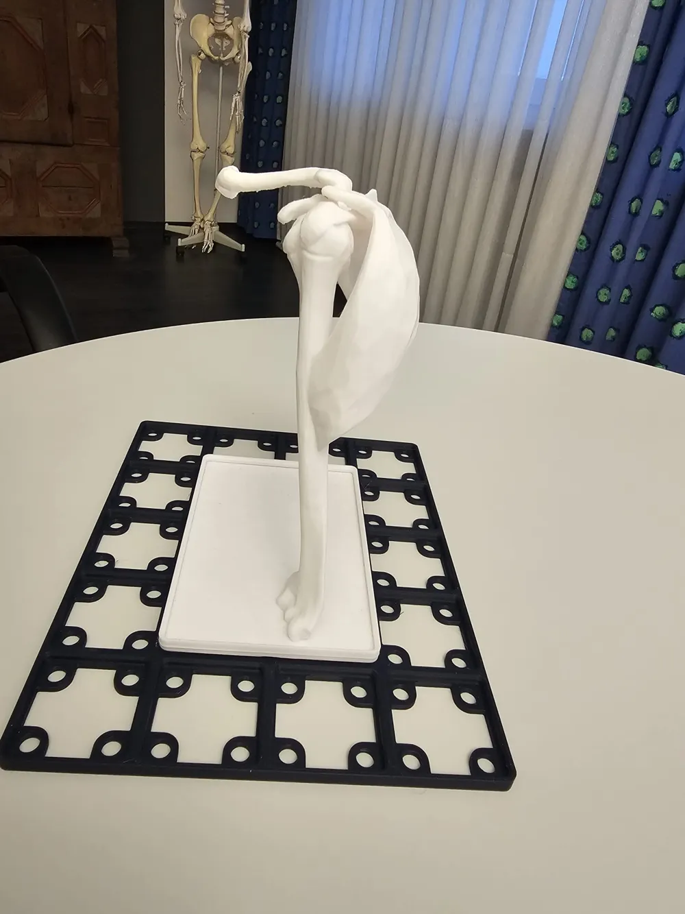 Gridfinity Anatomy: Shoulder Joint with Deltoideus - Free 3D Print ...