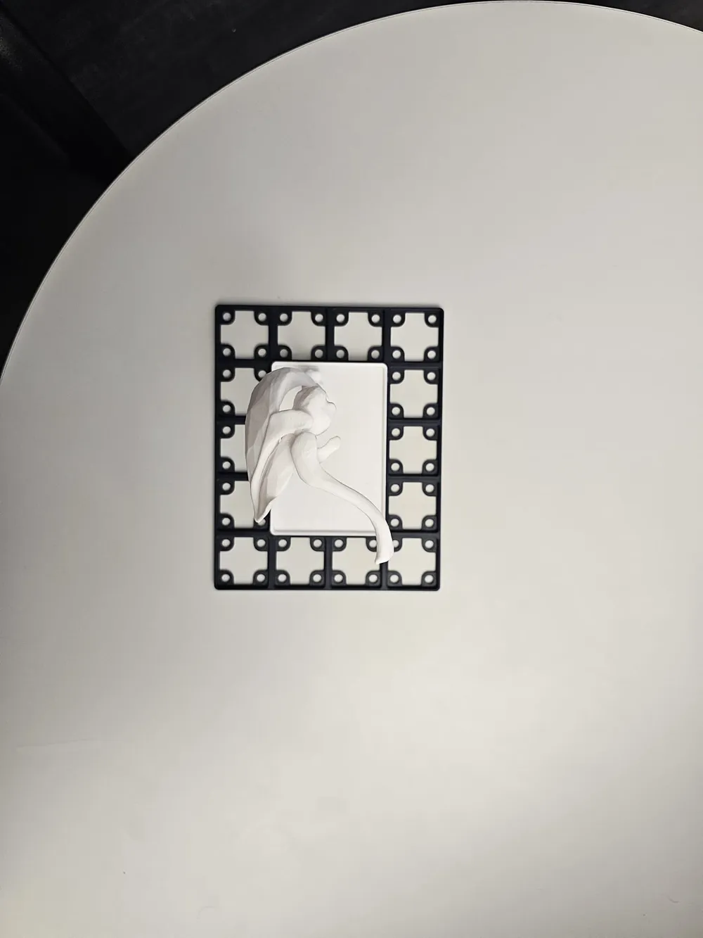 Gridfinity Anatomy: Shoulder Joint with Deltoideus - Free 3D Print ...