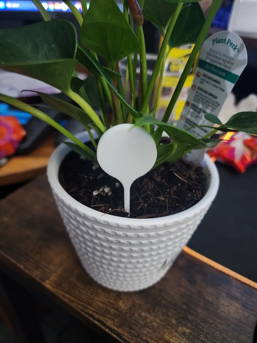 NFC Chip Holder for Plant Pots by bradsprinterworks - MakerWorld