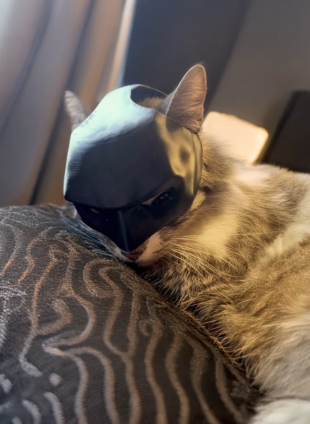 BATMAN CAT MASK (GothamKitty) Remixed by akillelauro - MakerWorld