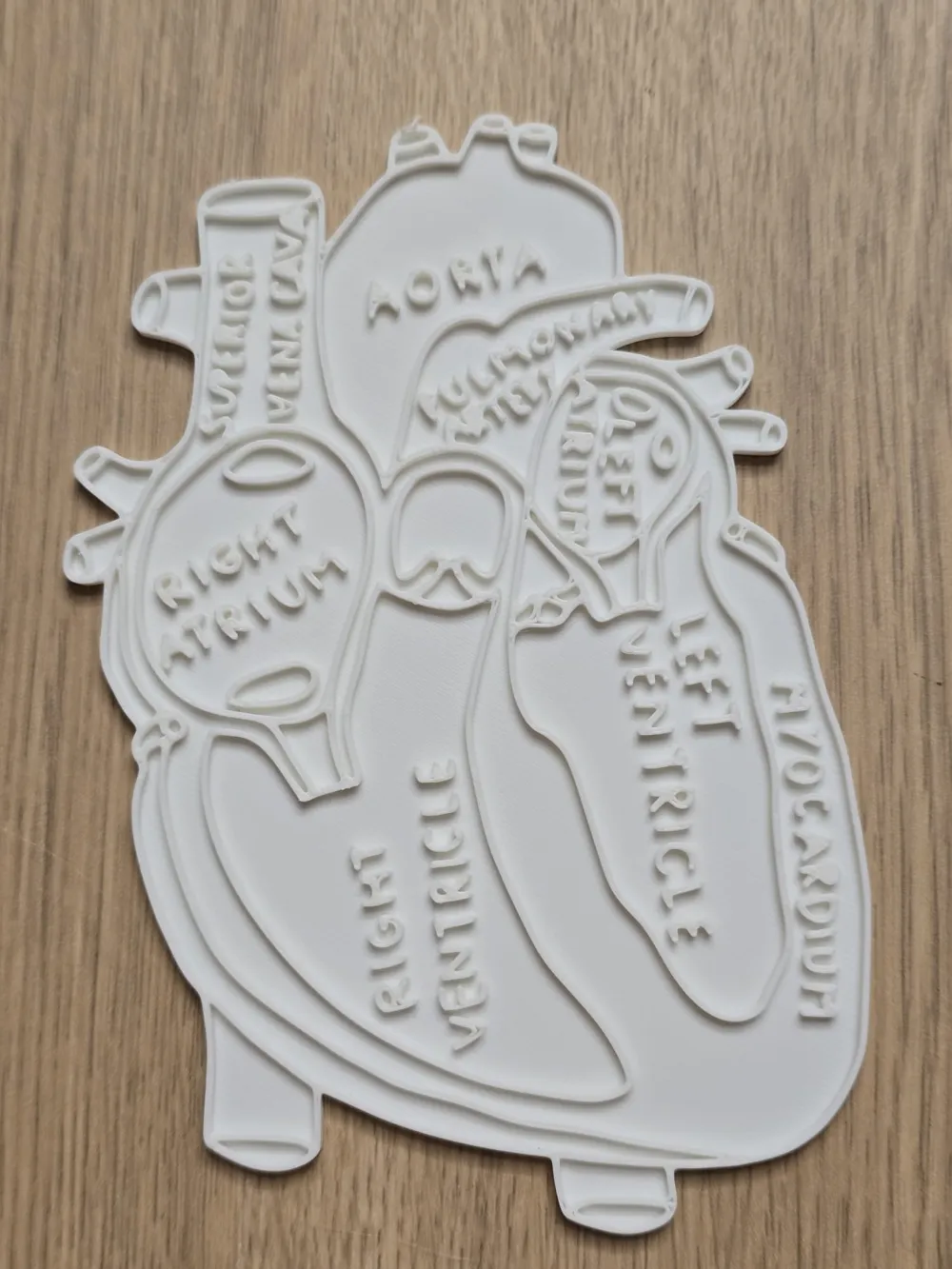 Anatomy Heart Coloring Craft Education - Free 3D Print Model - MakerWorld