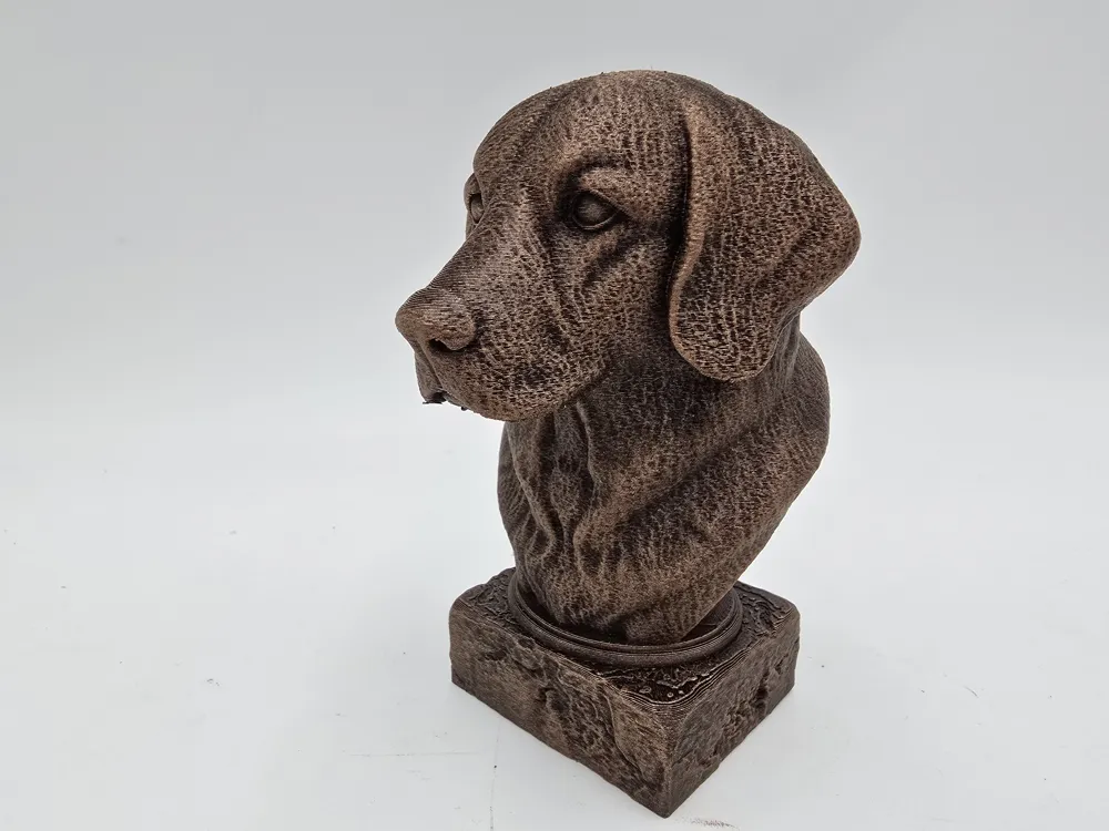 GOLDEN RETRIVER BUST by Messy_Panda MakerWorld: Download Free 3D Models