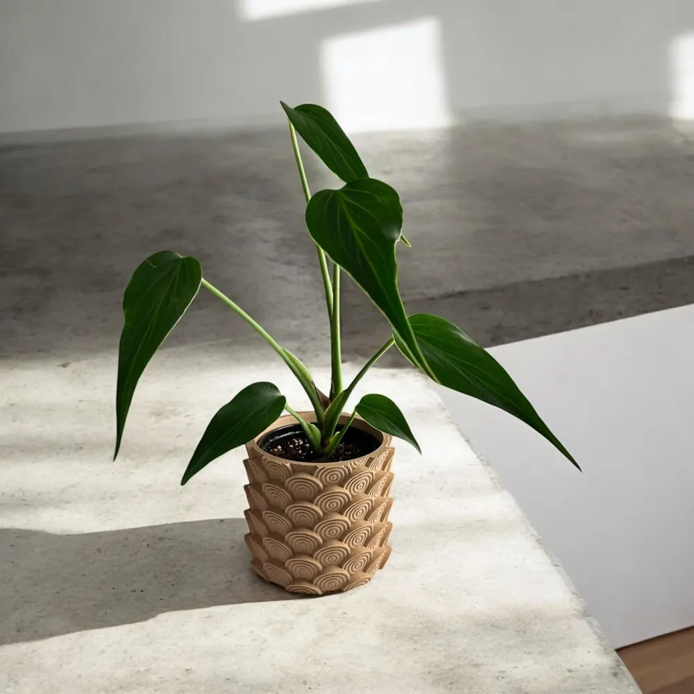 Plant Pot "Janice" by TreeD-prints MakerWorld: Download Free 3D Models