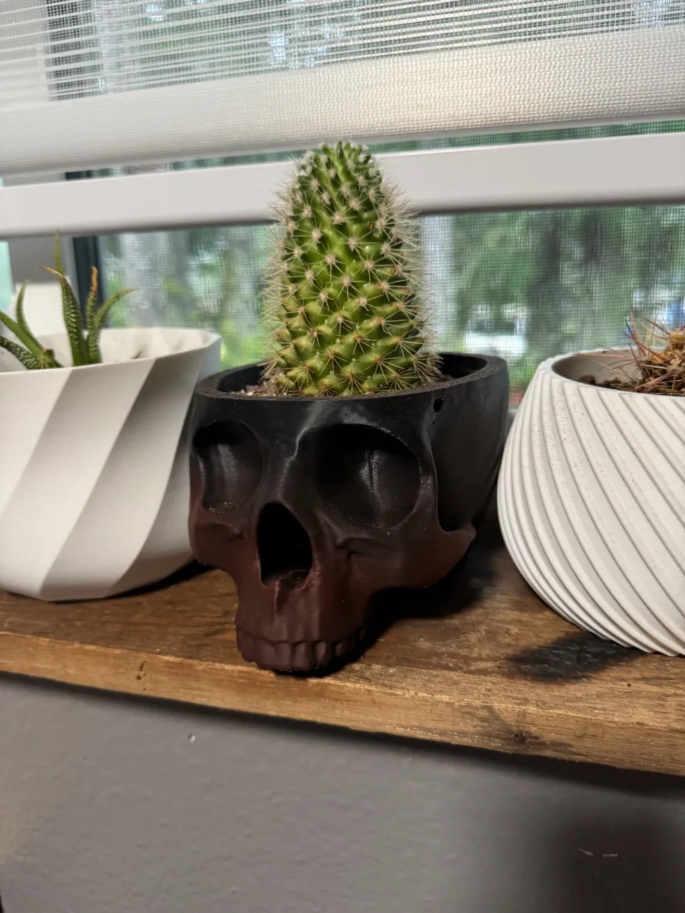 Skull Pot No Drain by MychCrow - MakerWorld