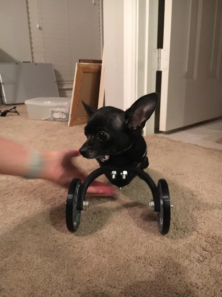 Small Dog Chariot Wheelchair for no front legs by Shurdle3D - MakerWorld