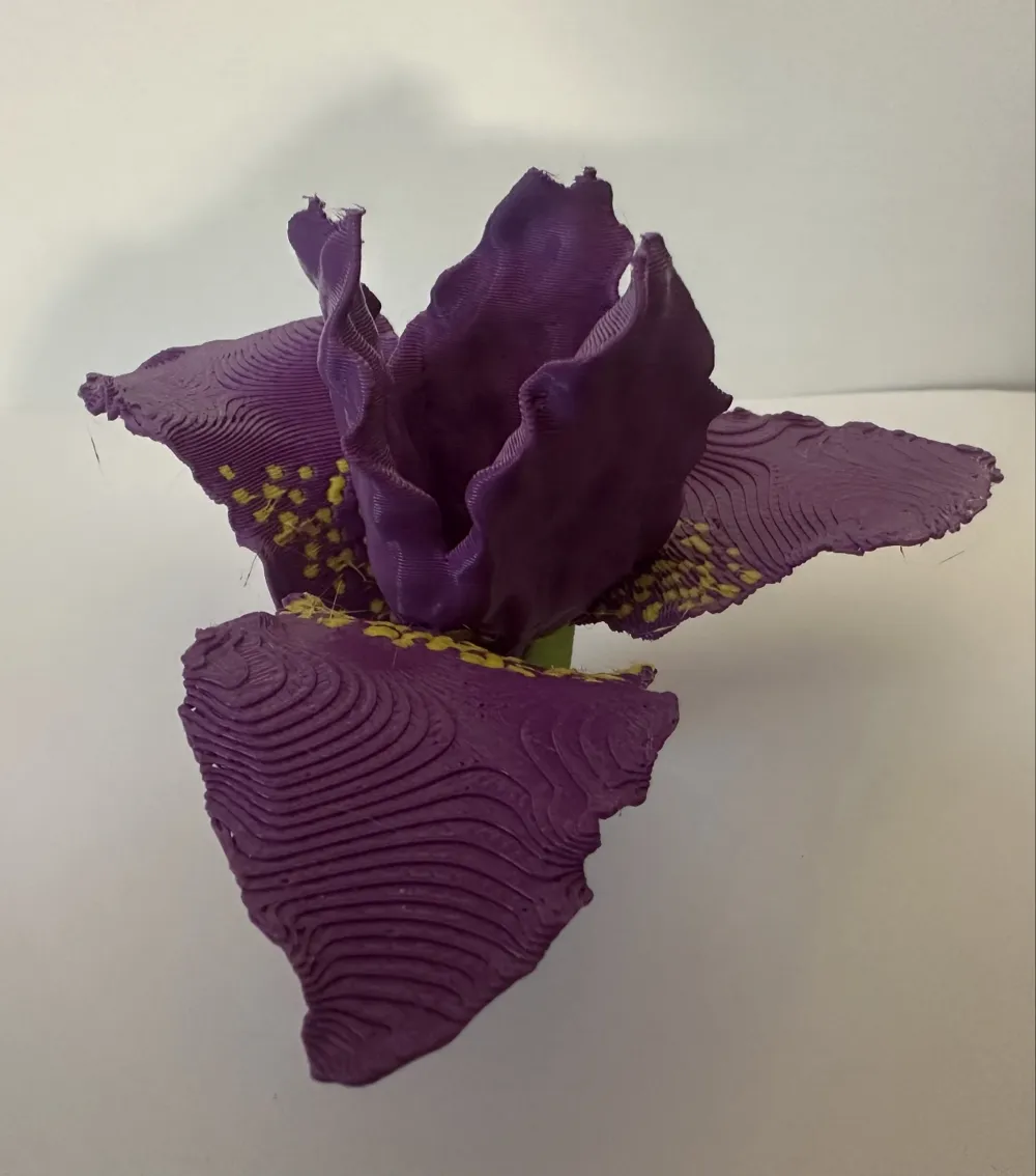 Bearded Iris (flower) by ItsAMe_DesignsMakerWorld: Download Free 3D Models