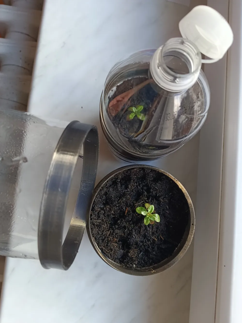 mini greenhouse for pre-growing plants - Free 3D Print Model - MakerWorld