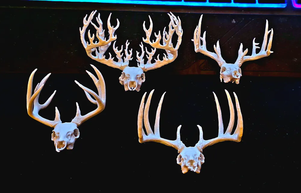 Miniatures de crânes de cerf ! 22, Bad Boy, WR Black, Fire ! par DTM247 MakerWorld : Téléchargez ...