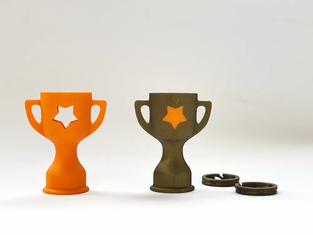 Trophy keychain by FlorinV - MakerWorld