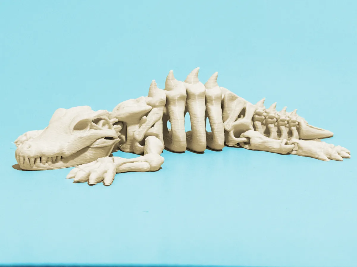 Gelenkiges Skelett-Krokodil – Kostenloses 3D-Druckmodell – MakerWorld
