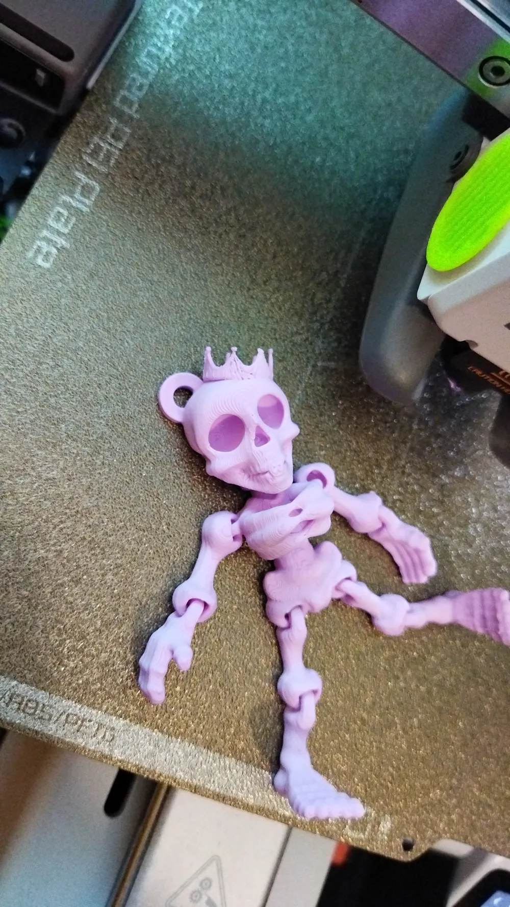 Flexi Skeleton with Crown Keychain by MiguelJasus MakerWorld: Download ...