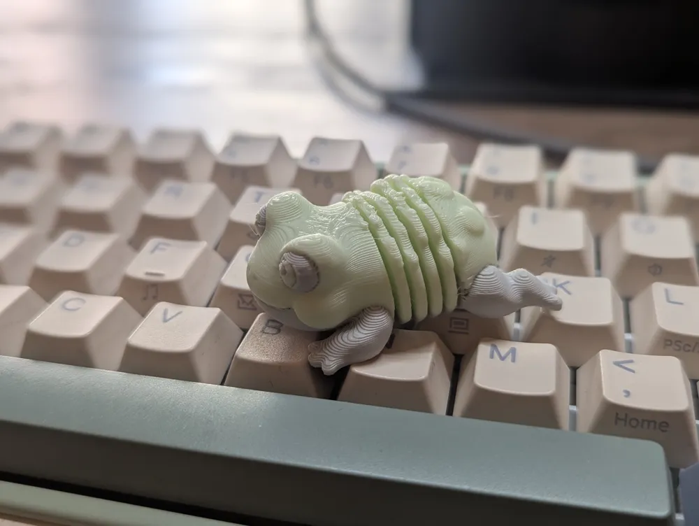Flexi Mini Frog [Slinky] - Free 3D Print Model - MakerWorld