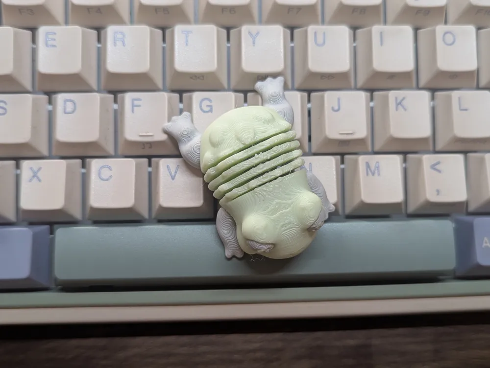 Flexi Mini Frog [Slinky] - Free 3D Print Model - MakerWorld