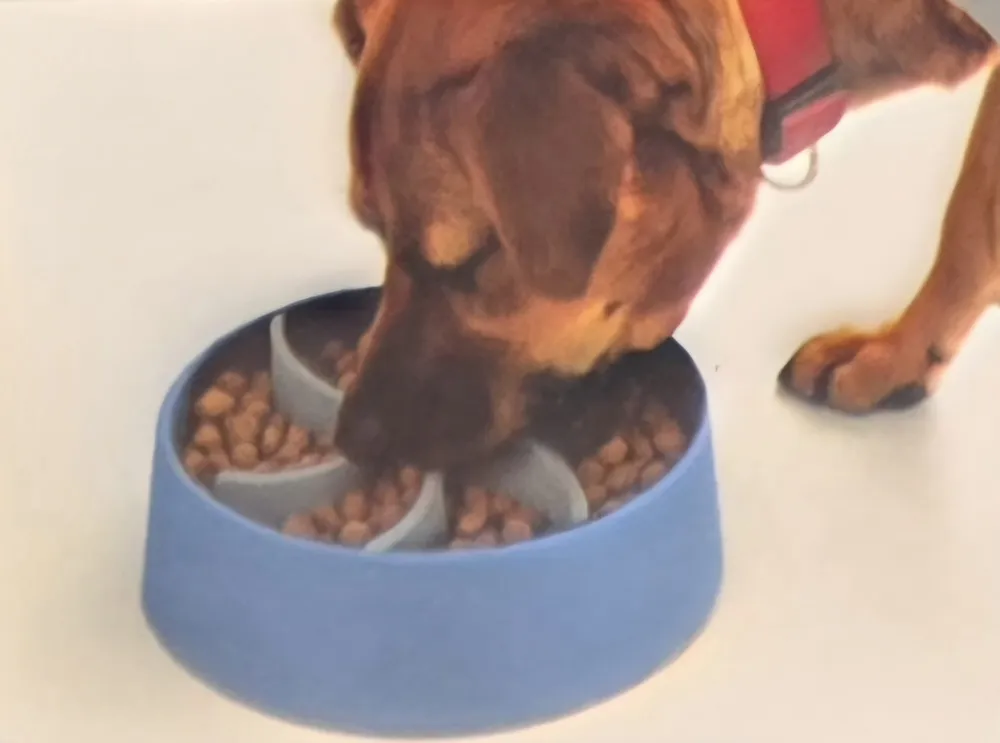 DOG SLOW FEEDER INSERT - Free 3D Print Model - MakerWorld