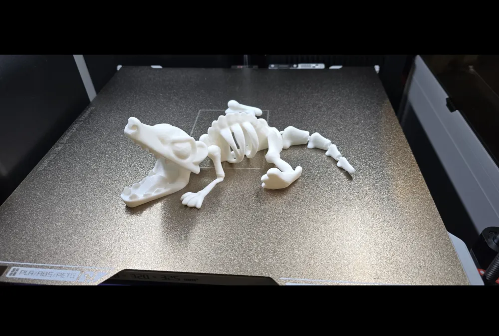 Articulating Opossum Skeleton by MattHimSelph MakerWorld: Download Free ...