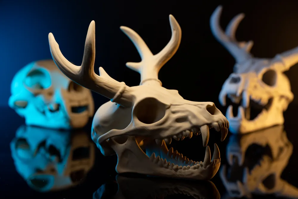 Wendigo Cryptid Skull Fossil by Boys Day Design MakerWorld: Download ...