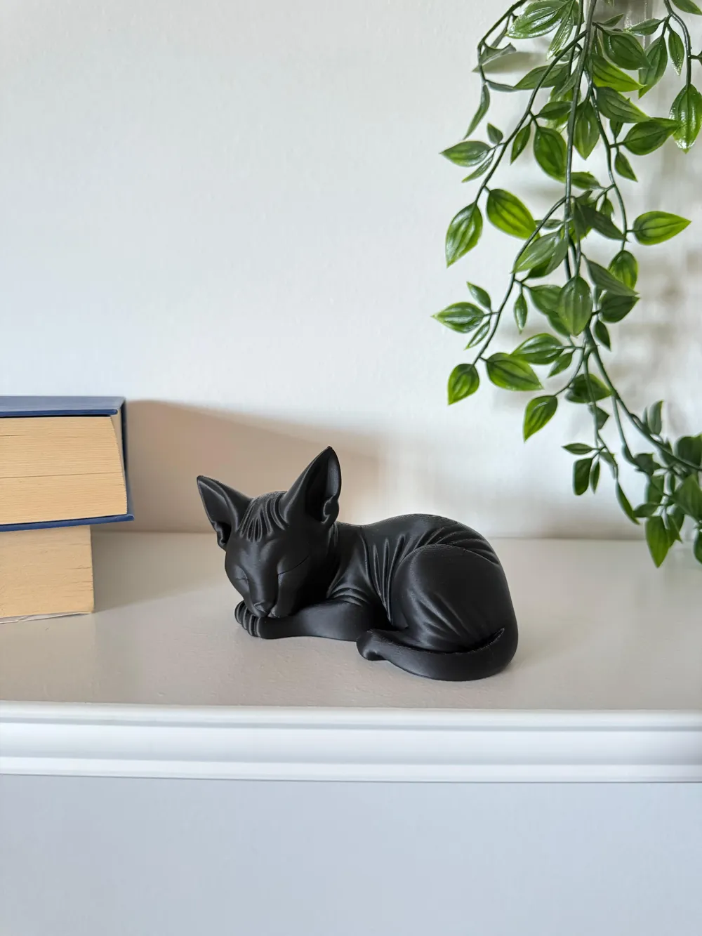 Sleeping Sphynx Baby Cat Cute Sphynx Adorable Cat by Akshan_Designs ...