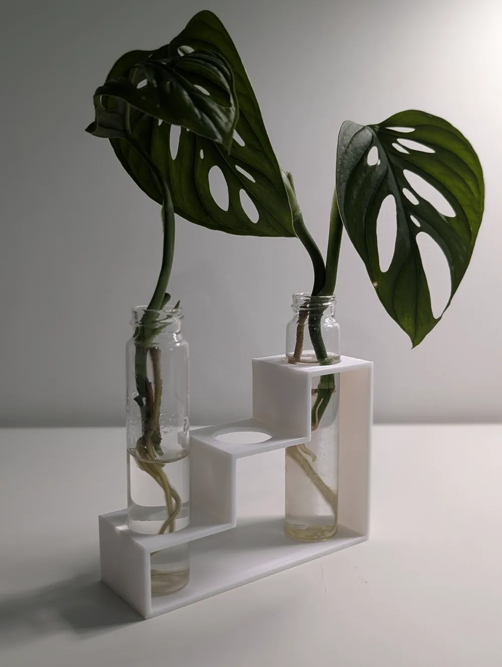 Staircase Plant Propagation Test Tubes Holder by tsarrrstudio - MakerWorld