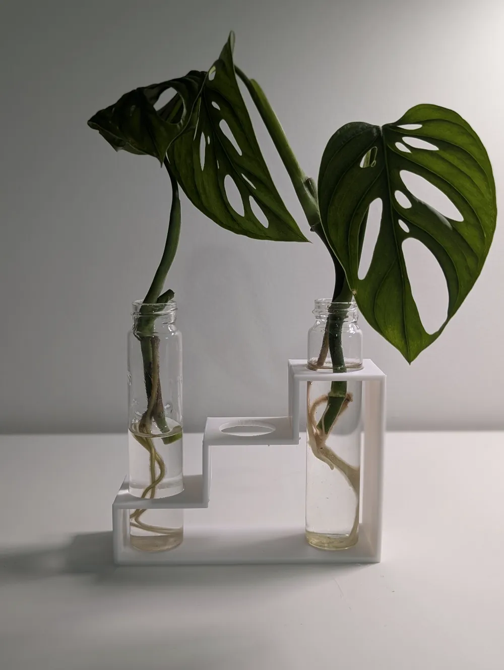 Staircase Plant Propagation Tubes Holder 22mm wide - Free 3D Print ...