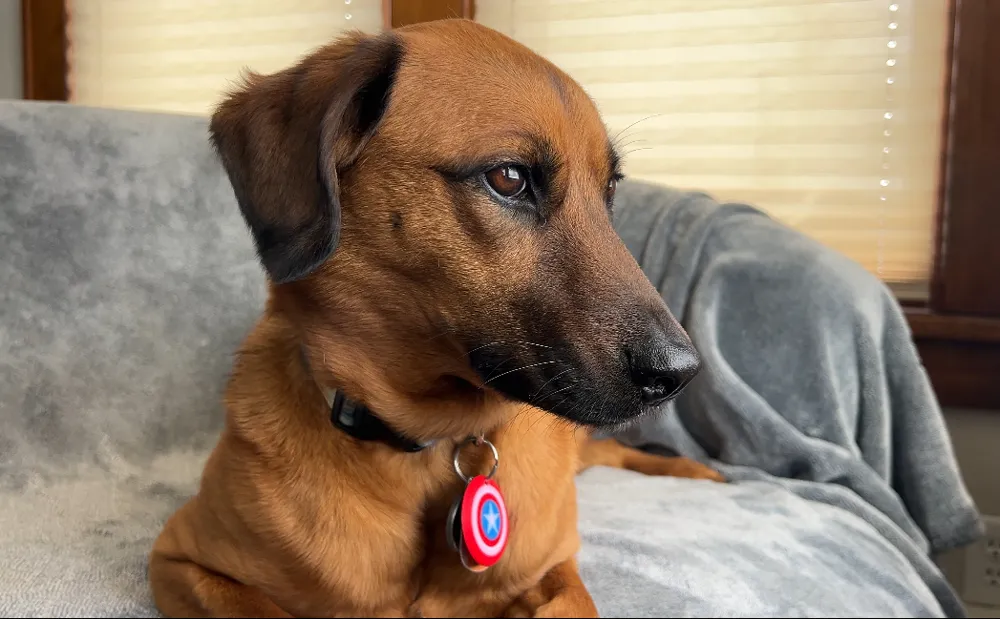 Captain America Shield - Dog Tag Keychain by Coronado - MakerWorld