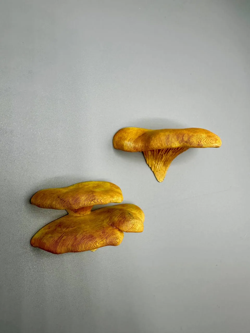 Tree Mushrooms - Free 3D Print Model - MakerWorld