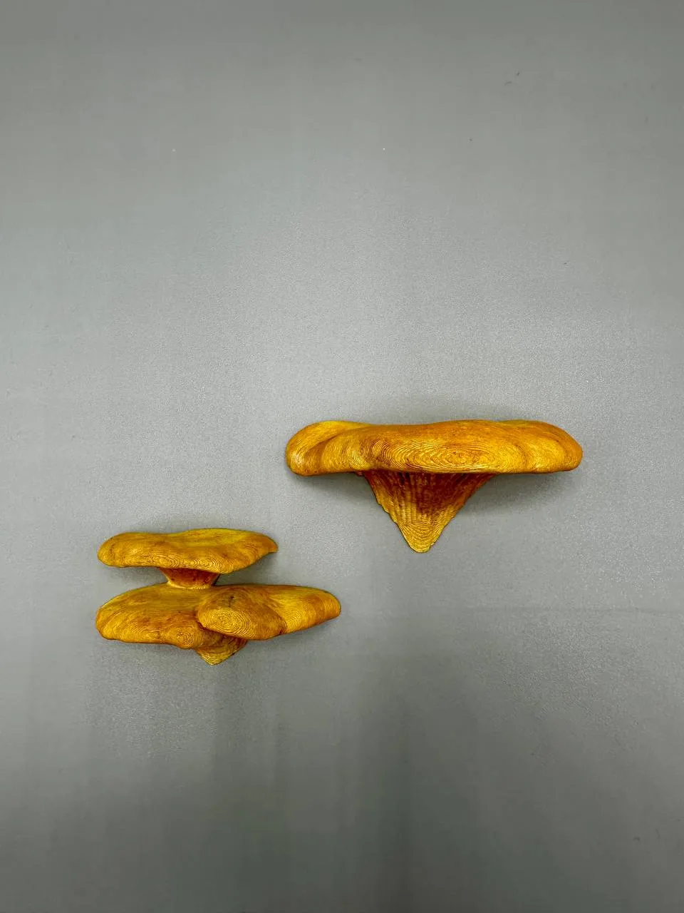 Tree Mushrooms - Free 3D Print Model - MakerWorld