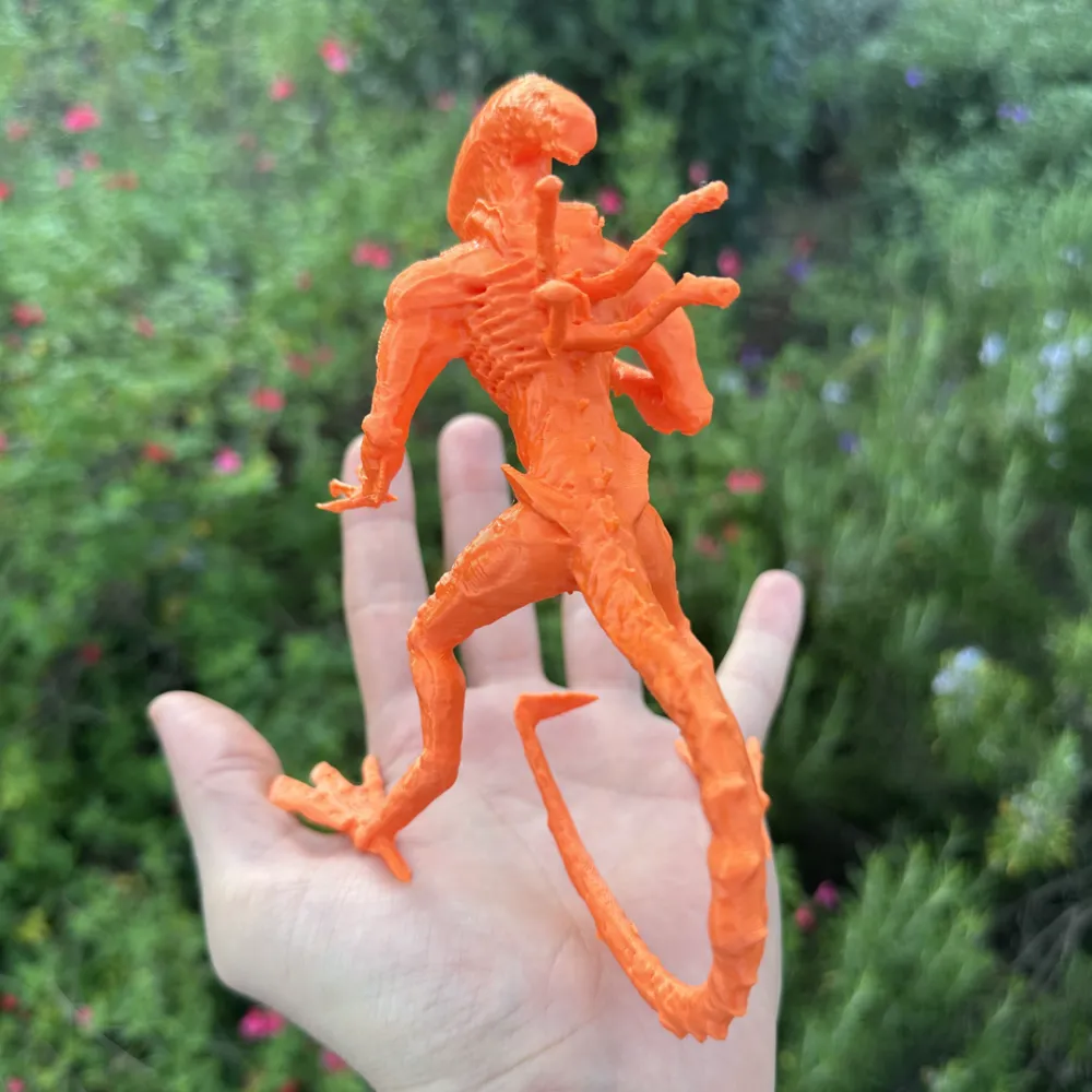 ALIEN XENOMORPH by benoitperocheau - MakerWorld