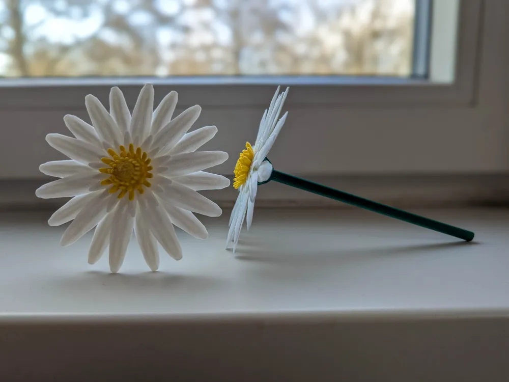 Daisies | Modular Flowers 01 by Maerc MakerWorld: Download Free 3D Models