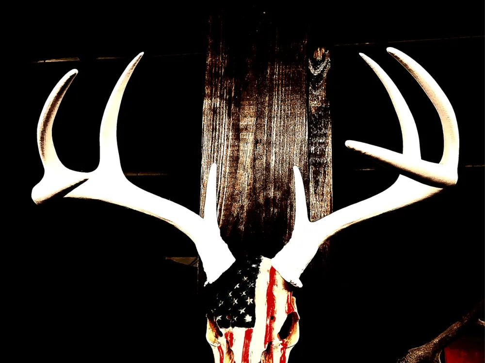 "Symmetry" Antler Set for Half and Full Skulls by DTM247 MakerWorld ...