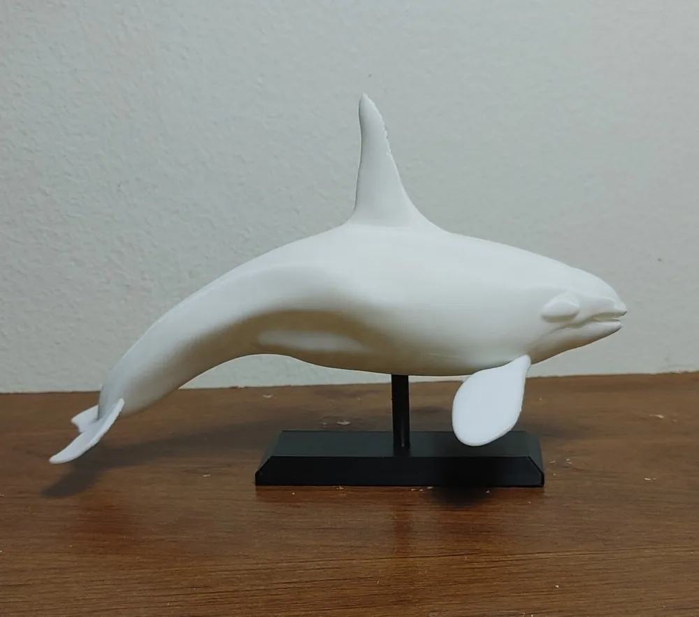 Killer Whale (Orca) Mount by Fish Prints MakerWorld: Download Free 3D ...