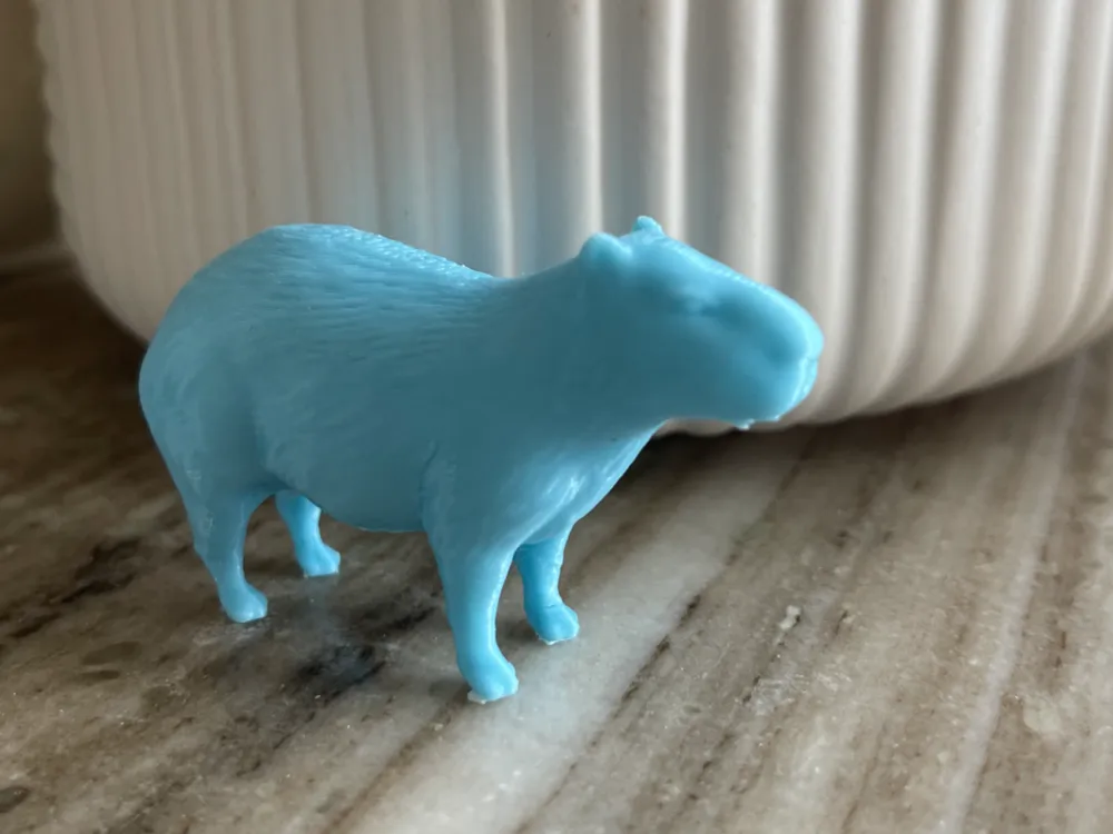 Realistic Capybara by Ofally - MakerWorld